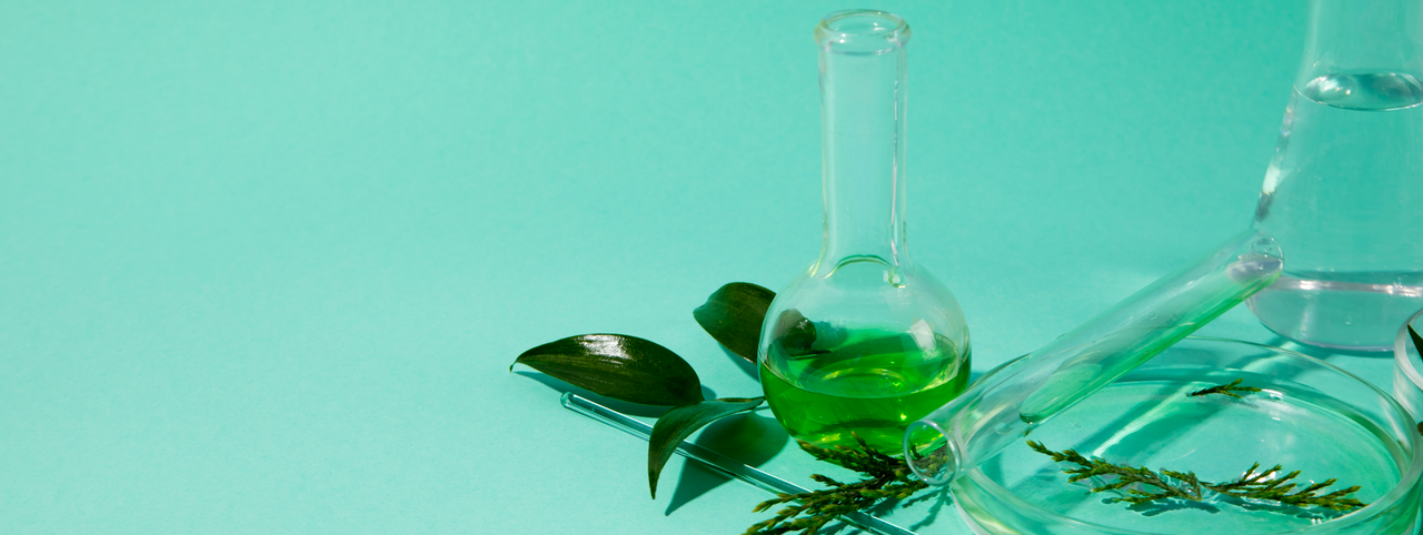 Embracing Nature: The Growing Role of Plant-Based Medicine in Modern ...