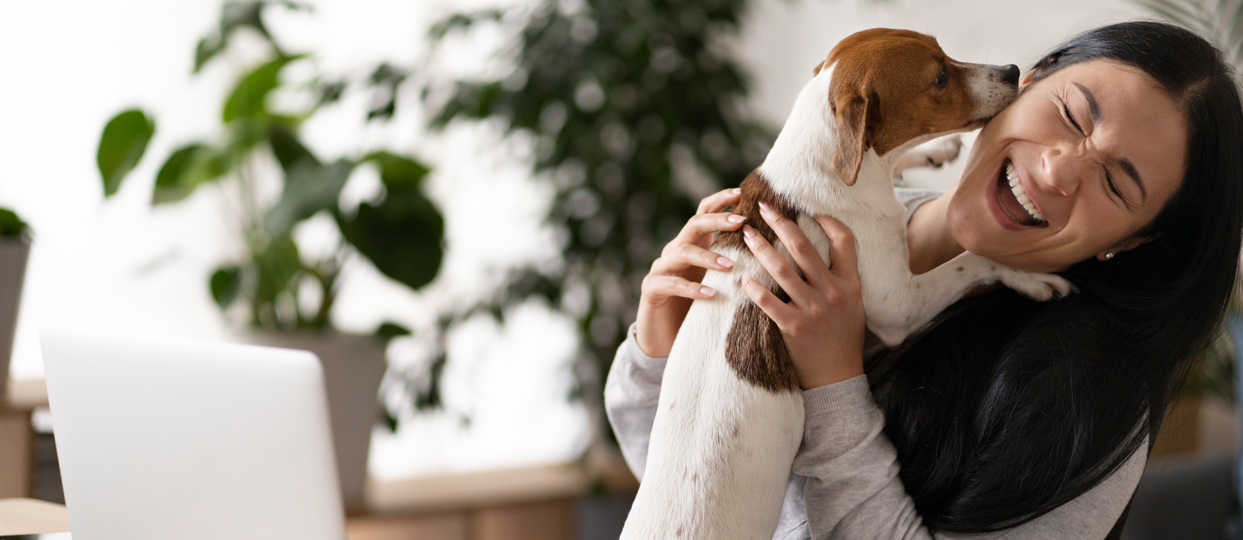 The Healing Power of Pets: Stress and Pain Relief Through Animal ...