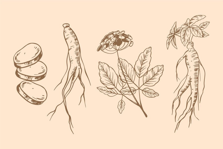 Understanding the Role of Herbal Adaptogens in Pain Management – AUVON