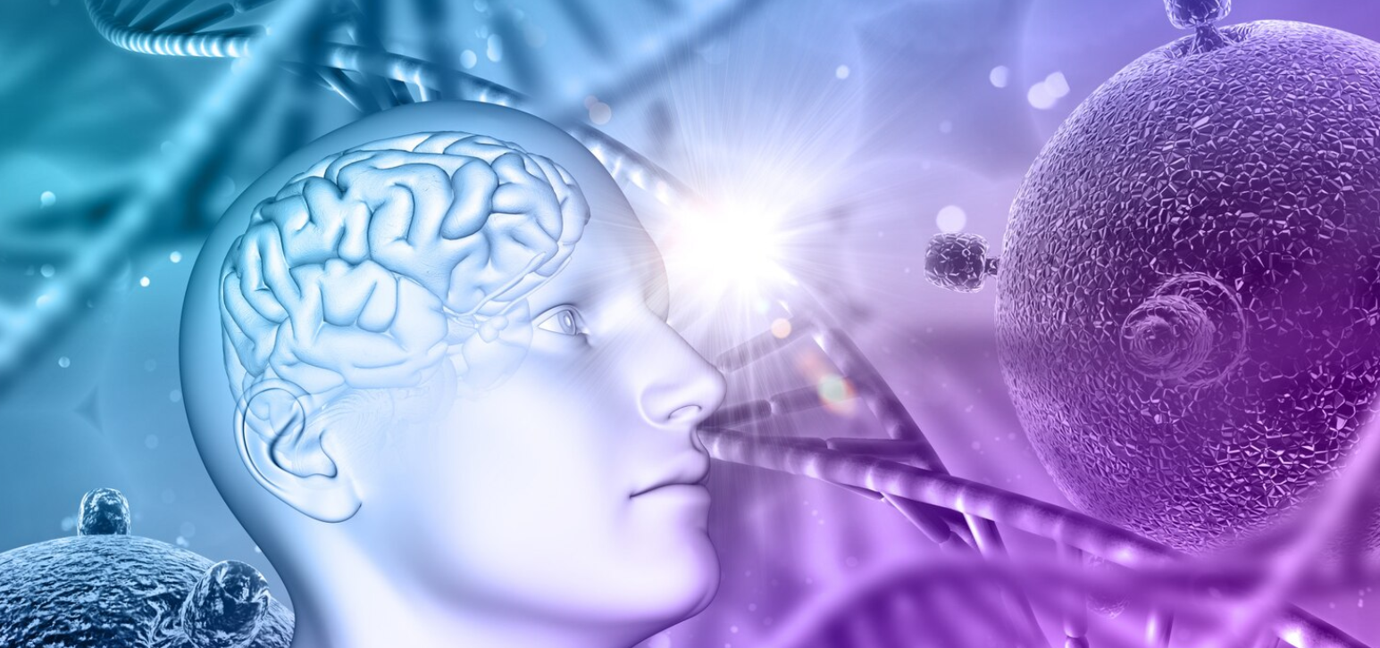 Unveiling the Science of Pain Relief: How Painkillers Work – AUVON